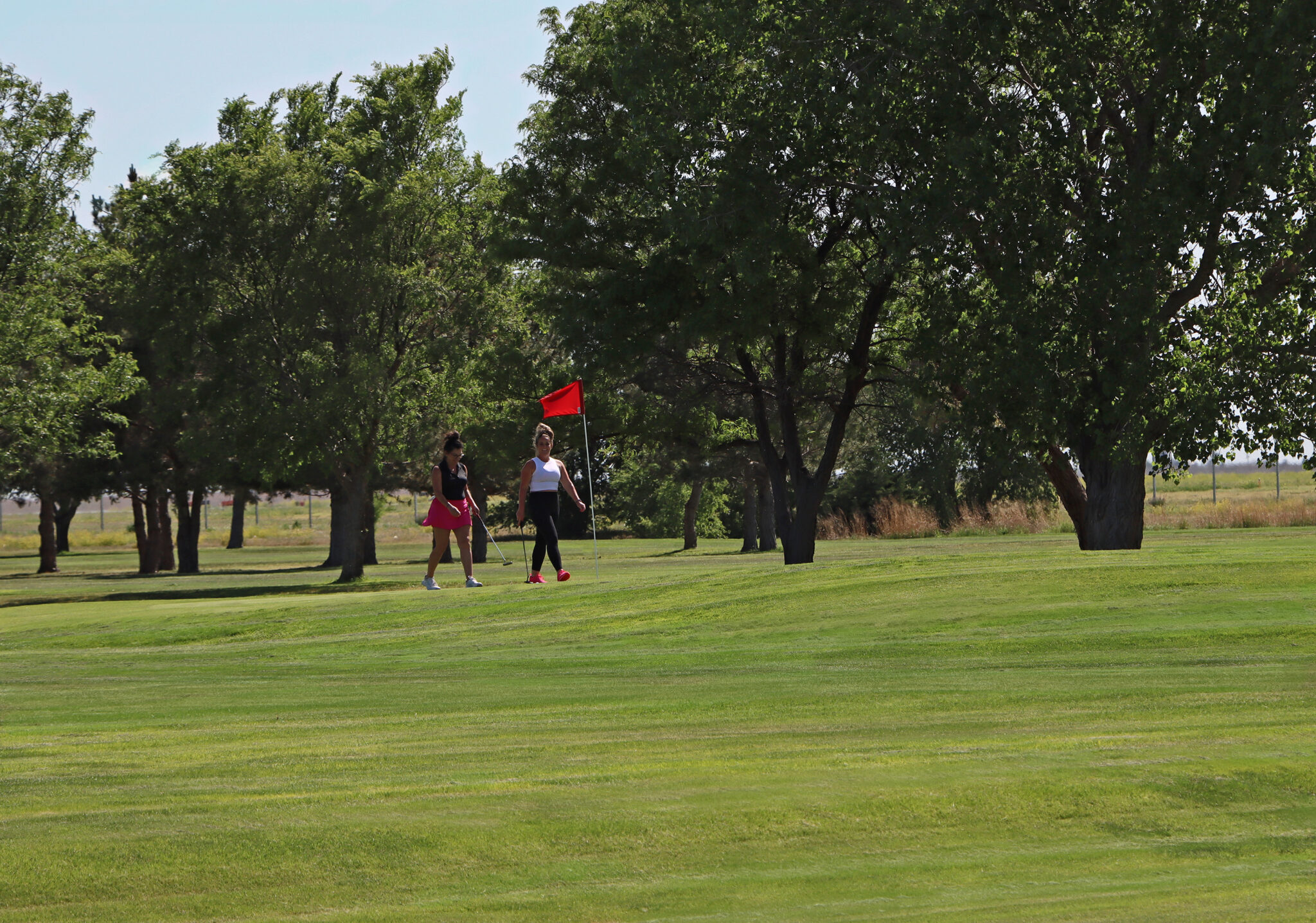 Willow Tree Golf Course